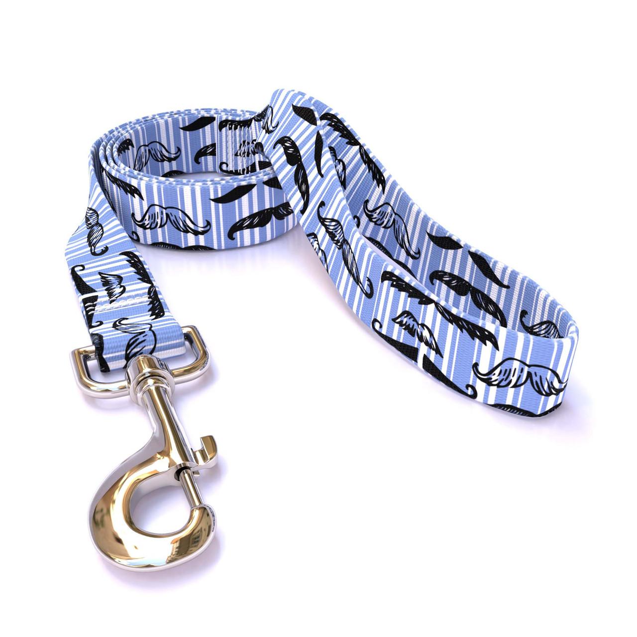 Strawberry Polka Dot Dog Leash by Yellow Dog Design